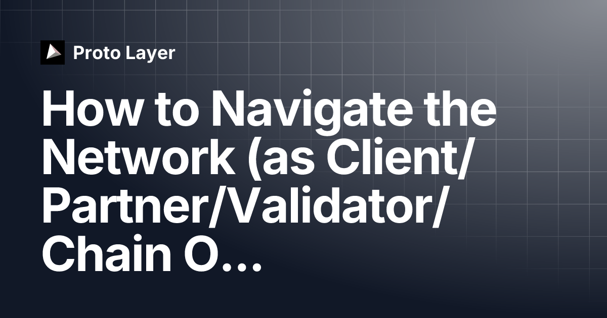How to Navigate the Network (as Client/Partner/Validator/Chain Owner) | Proto Layer